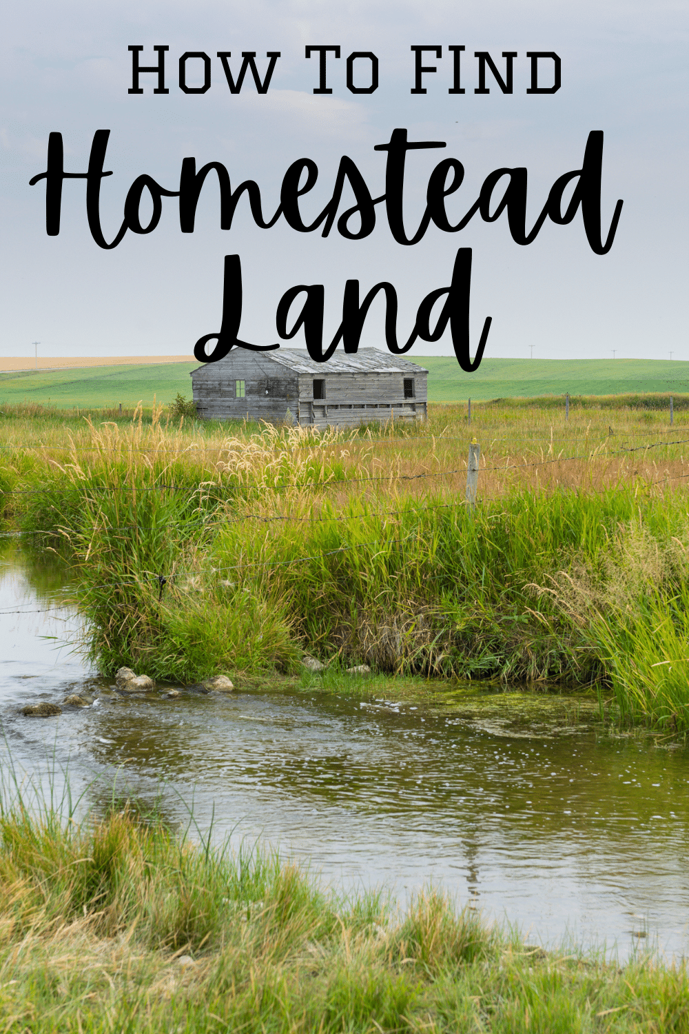 How To Find Homestead Land