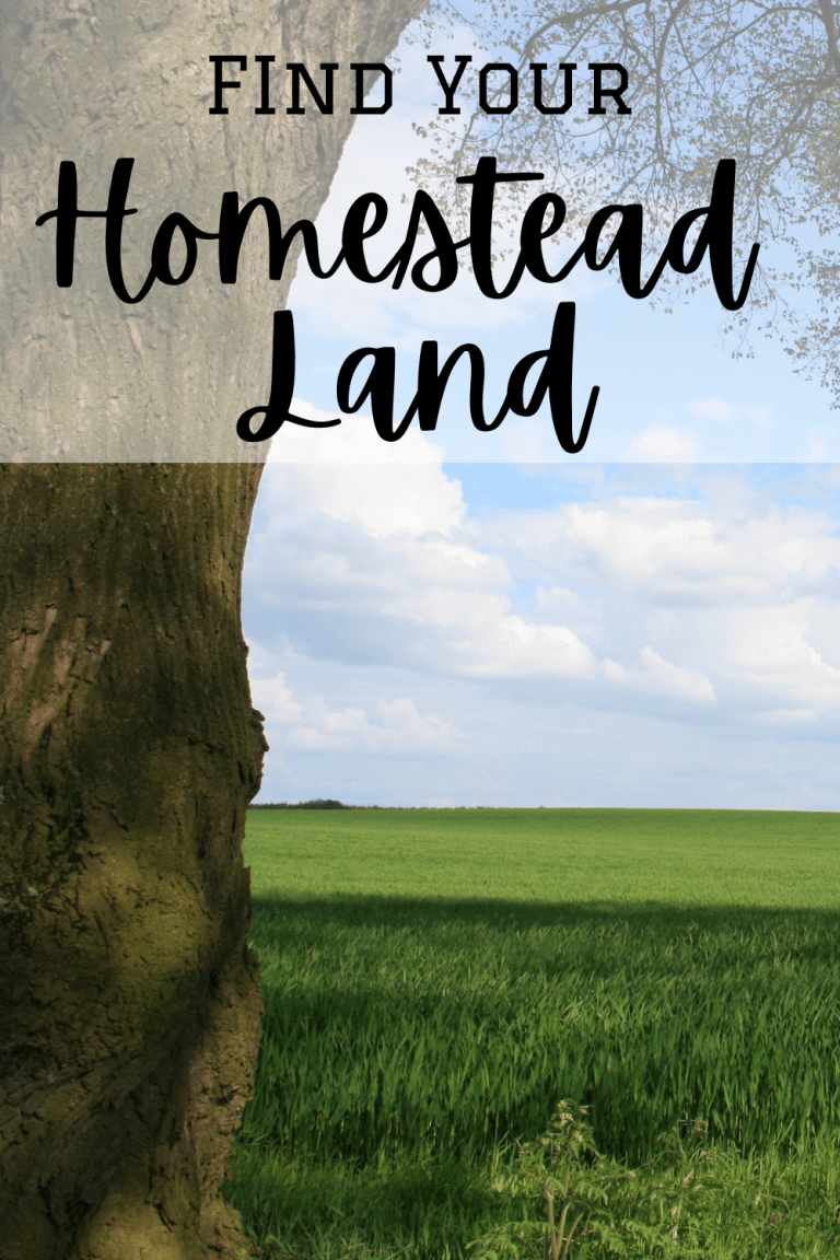 How To Find Homestead Land