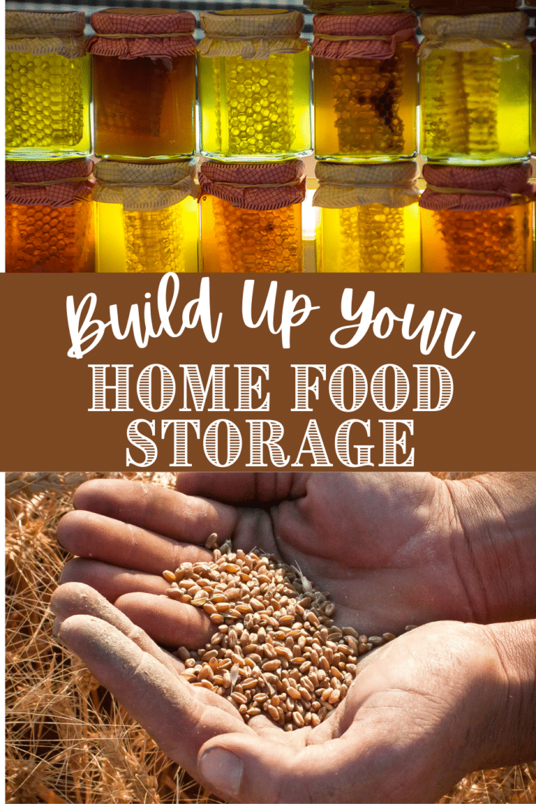 Home Food Storage - The Best Ways To Prepare