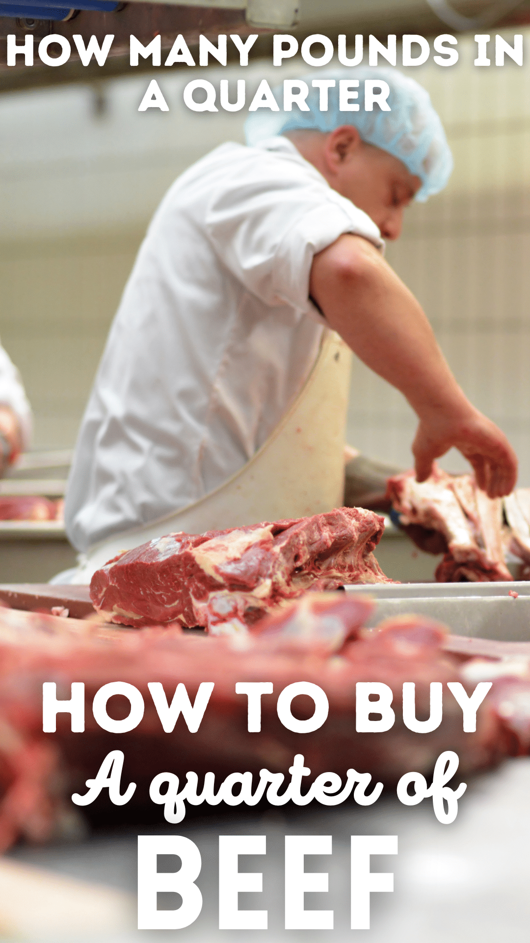 How to Buy a Quarter of Beef Cow