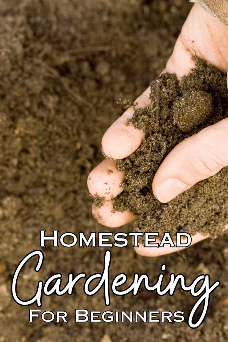 Homestead Gardening for Beginners - How to Garden