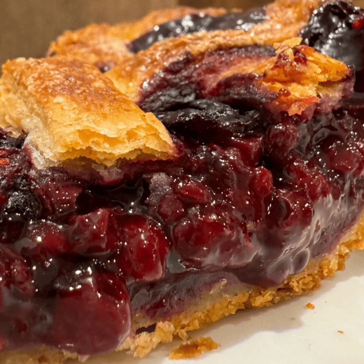 Easy Blueberry Pie Recipe with Frozen Blueberries
