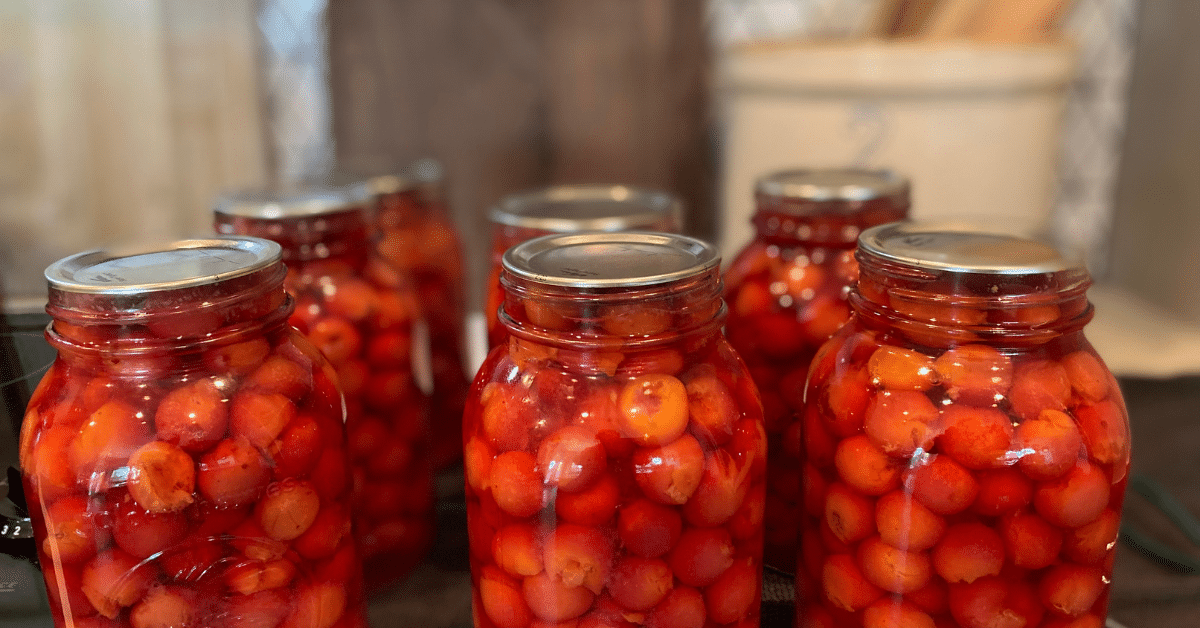 Easy Cherry Pie Recipe from Canned Cherries