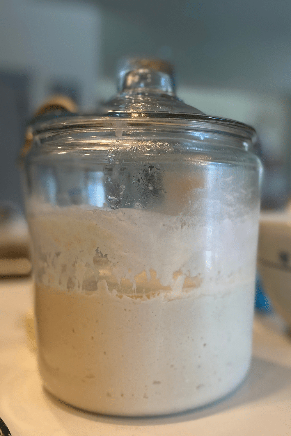 Dutch Oven Sourdough Bread Recipe - How to Bake Perfect Loaf