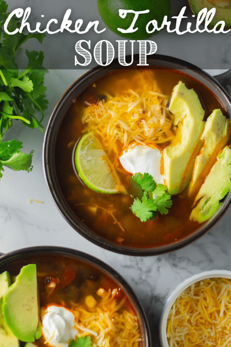Chicken Tortilla Soup - The Best Easy Recipe For Cool Weather!