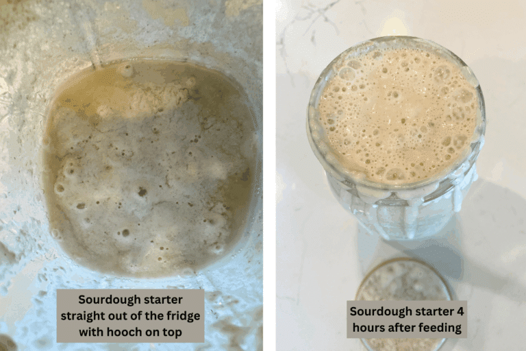 Can You Bake with Sourdough Starter Straight from the Fridge?