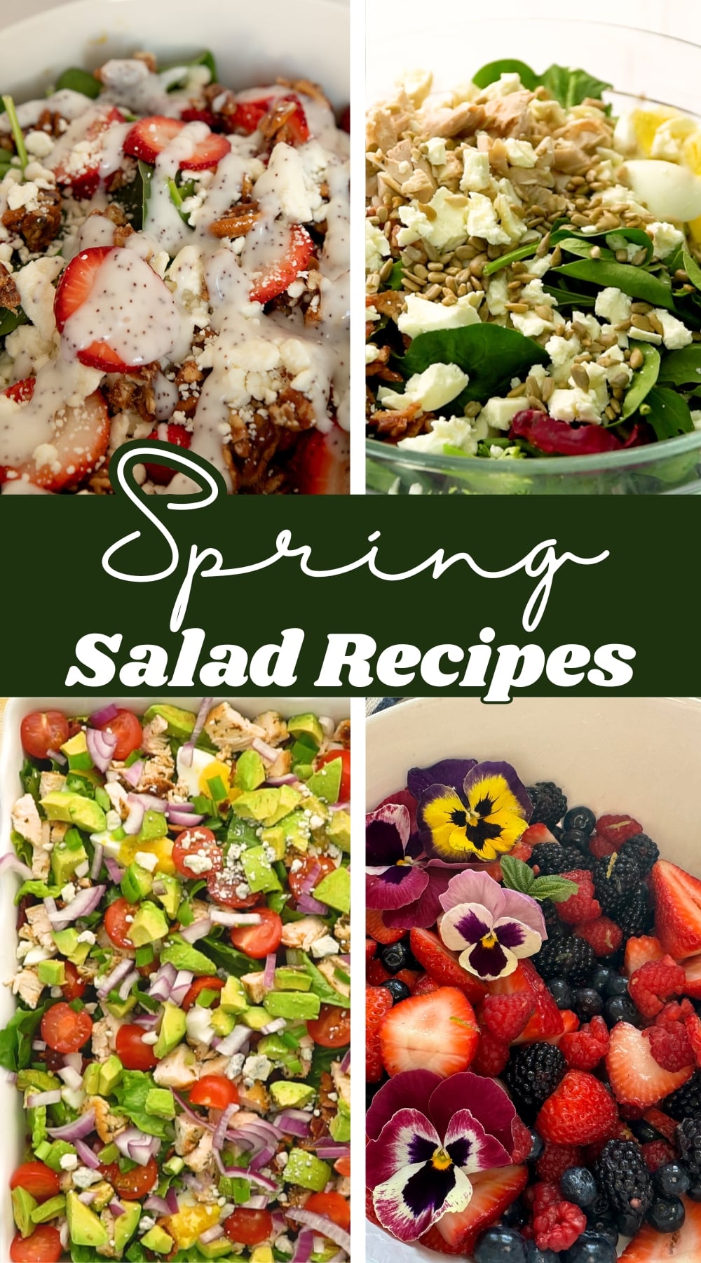 Spring Salad Recipes