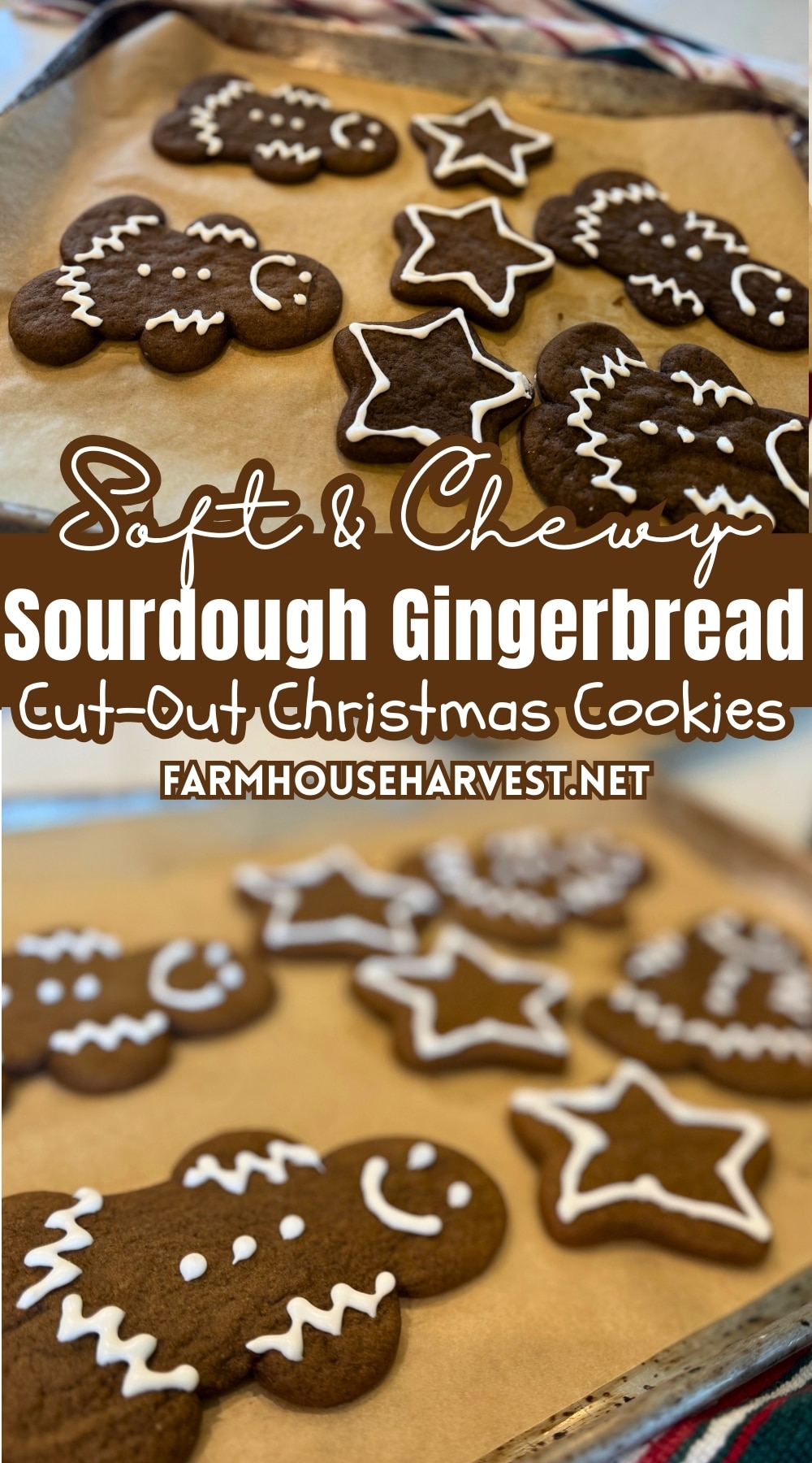 Sourdough Gingerbread Cookies Recipe